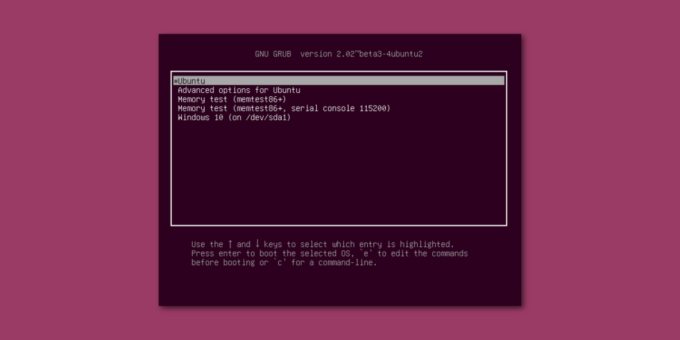 How to fix Ubuntu not detecting Windows 10 partition during install